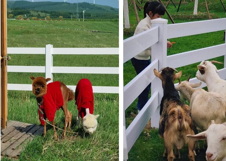 White Color Plastic 3 Rails Fence Horse Farm Fence PVC Vinyl Post